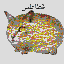 MapartIndex - Results